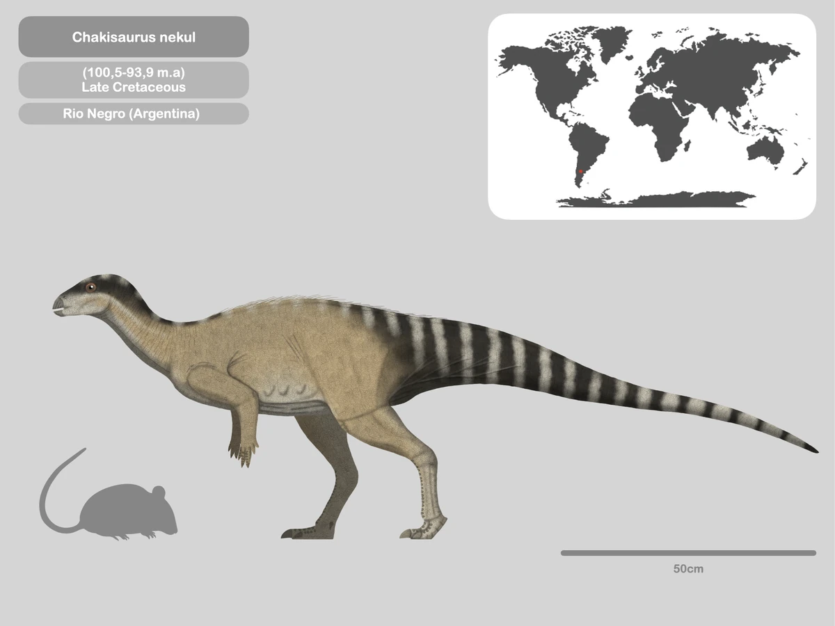 Chakisaurus | Dinopedia | Fandom