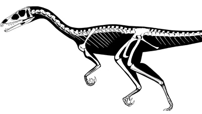 Discuss Everything About Dinopedia | Fandom