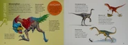 Elmisaurus | Dinopedia | Fandom