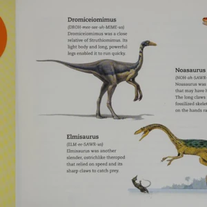 Discuss Everything About Dinopedia | Fandom