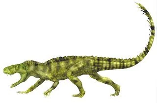 Basutodon | Dinopedia | Fandom