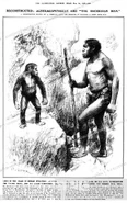 Australopithecus | Dinopedia | Fandom