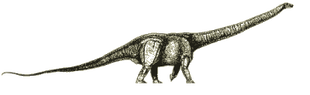 Fusuisaurus | Dinopedia | Fandom