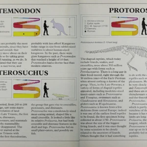 Discuss Everything About Dinopedia | Fandom