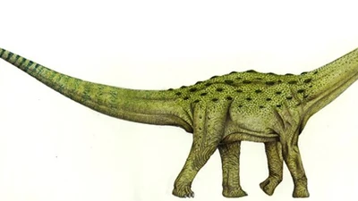 Discuss Everything About Dinopedia | Fandom