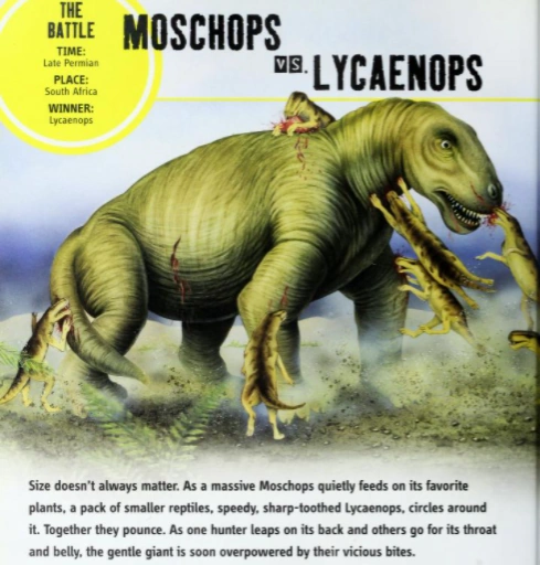 Lycaenops | Dinopedia | Fandom