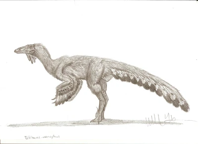 Tochisaurus | Dinopedia | Fandom