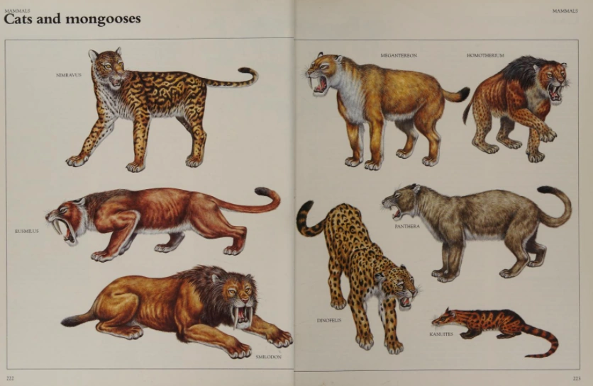 Kanuites | Dinopedia | Fandom