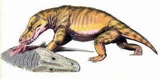 Scylacosuchus | Dinopedia | Fandom