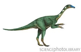 Garudimimus | Dinopedia | Fandom