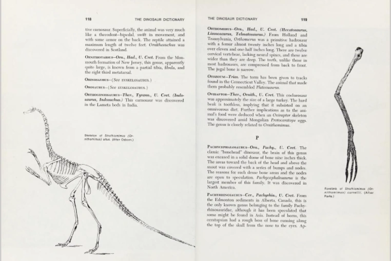 Orthogoniosaurus | Dinopedia | Fandom