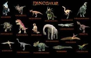Archaeolemur | Dinopedia | Fandom