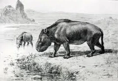 Nesodon | Dinopedia | Fandom