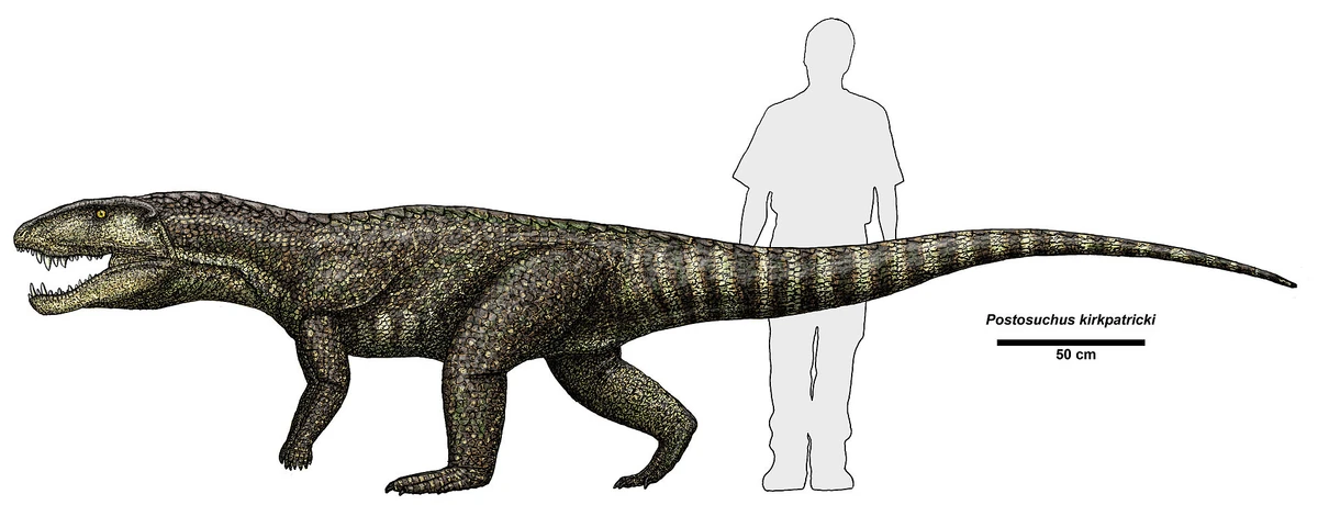 postosuchus