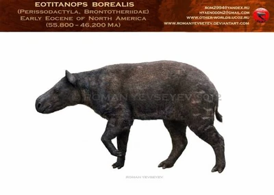 Eotitanops | Dinopedia | Fandom