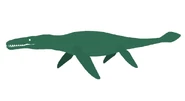 Megalneusaurus | Dinopedia | Fandom