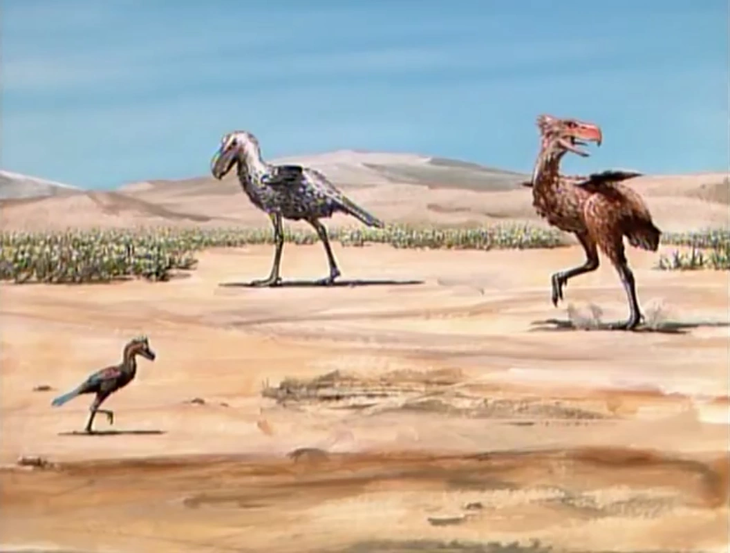 Phorusrhacidae | Dinopedia | Fandom