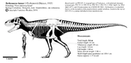 Tarbosaurus | Dinopedia | Fandom