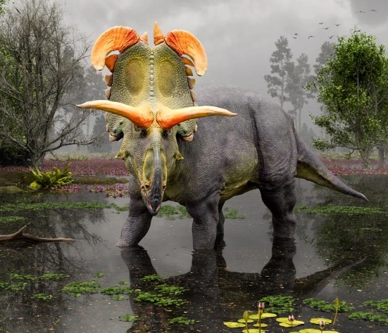 Lokiceratops | Dinopedia | Fandom