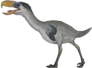 Titanis | Dinopedia | Fandom