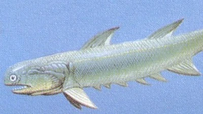 Discuss Everything About Dinopedia | Fandom