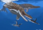 Anthropornis | Dinopedia | Fandom