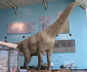 Astrodon | Dinopedia | Fandom