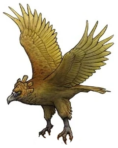 Haast's Eagle | Dinopedia | Fandom