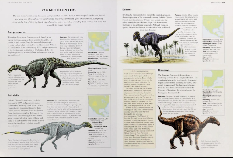 Draconyx | Dinopedia | Fandom