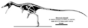 Shuvuuia | Dinopedia | Fandom
