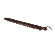 Euphoberia | Dinopedia | Fandom