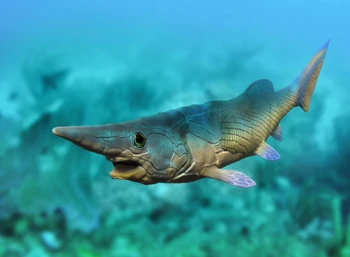 Rolfosteus | Dinopedia | Fandom