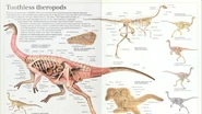 Garudimimus | Dinopedia | Fandom