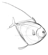 Mene | Dinopedia | Fandom