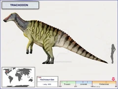 Trachodon | Dinopedia | Fandom