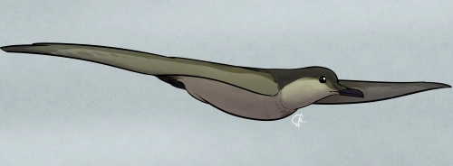 Lonchodytes | Dinopedia | Fandom