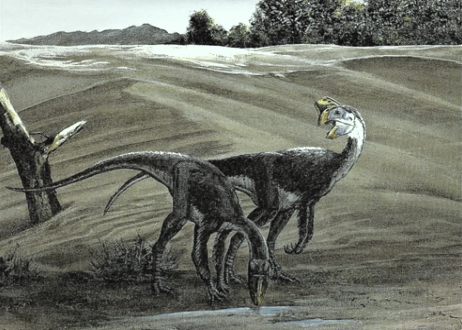 Discuss Everything About Dinopedia | Fandom