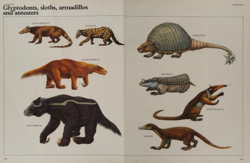 Hapalops | Dinopedia | Fandom