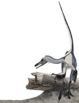 Haplocheirus | Dinopedia | Fandom