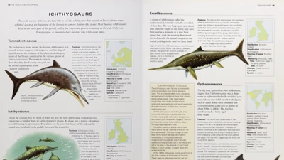 Discuss Everything About Dinopedia | Fandom
