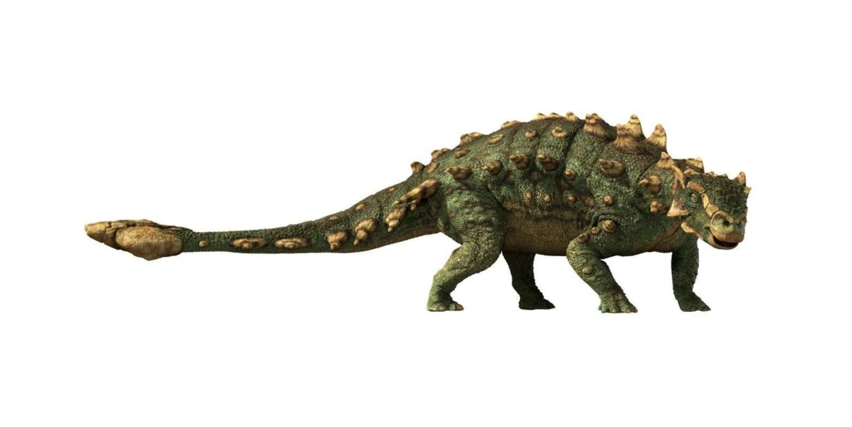 Discuss Everything About Dinopedia | Fandom