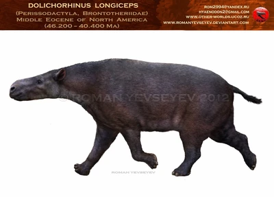Sphenocoelus | Dinopedia | Fandom