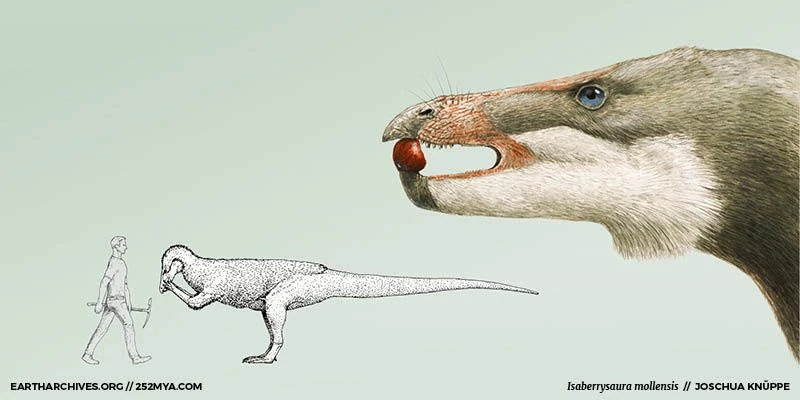 Isaberrysaura | Dinopedia | Fandom
