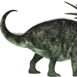 Asiaceratops