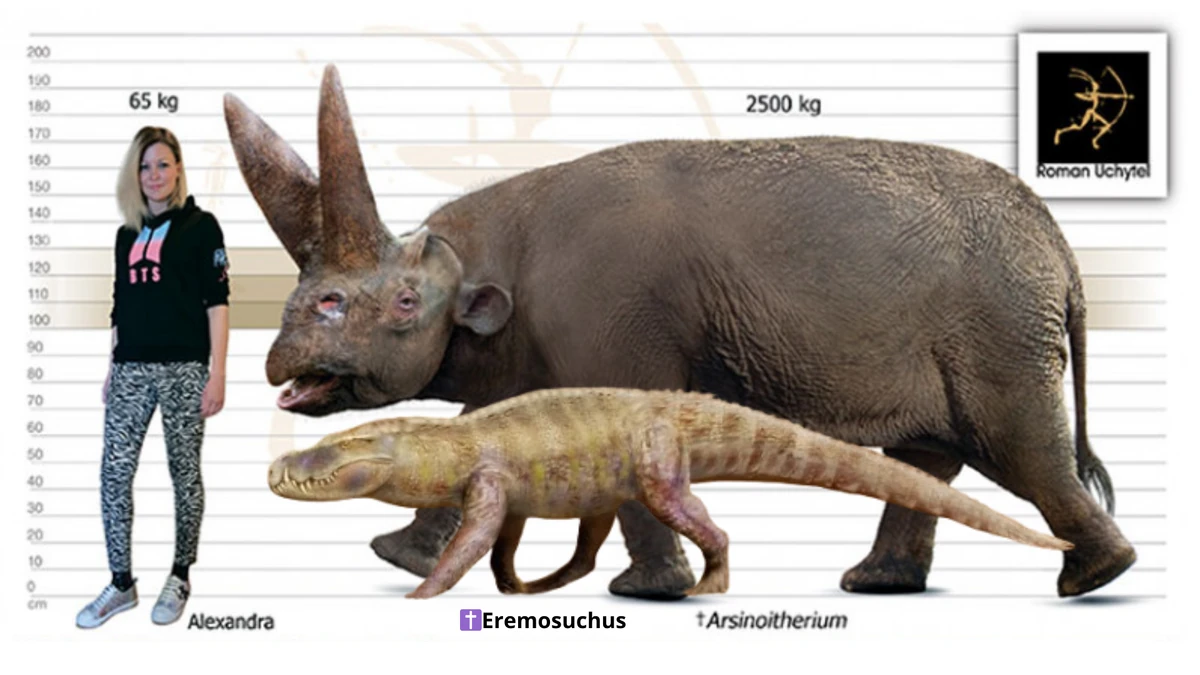 Eremosuchus | Dinopedia | Fandom