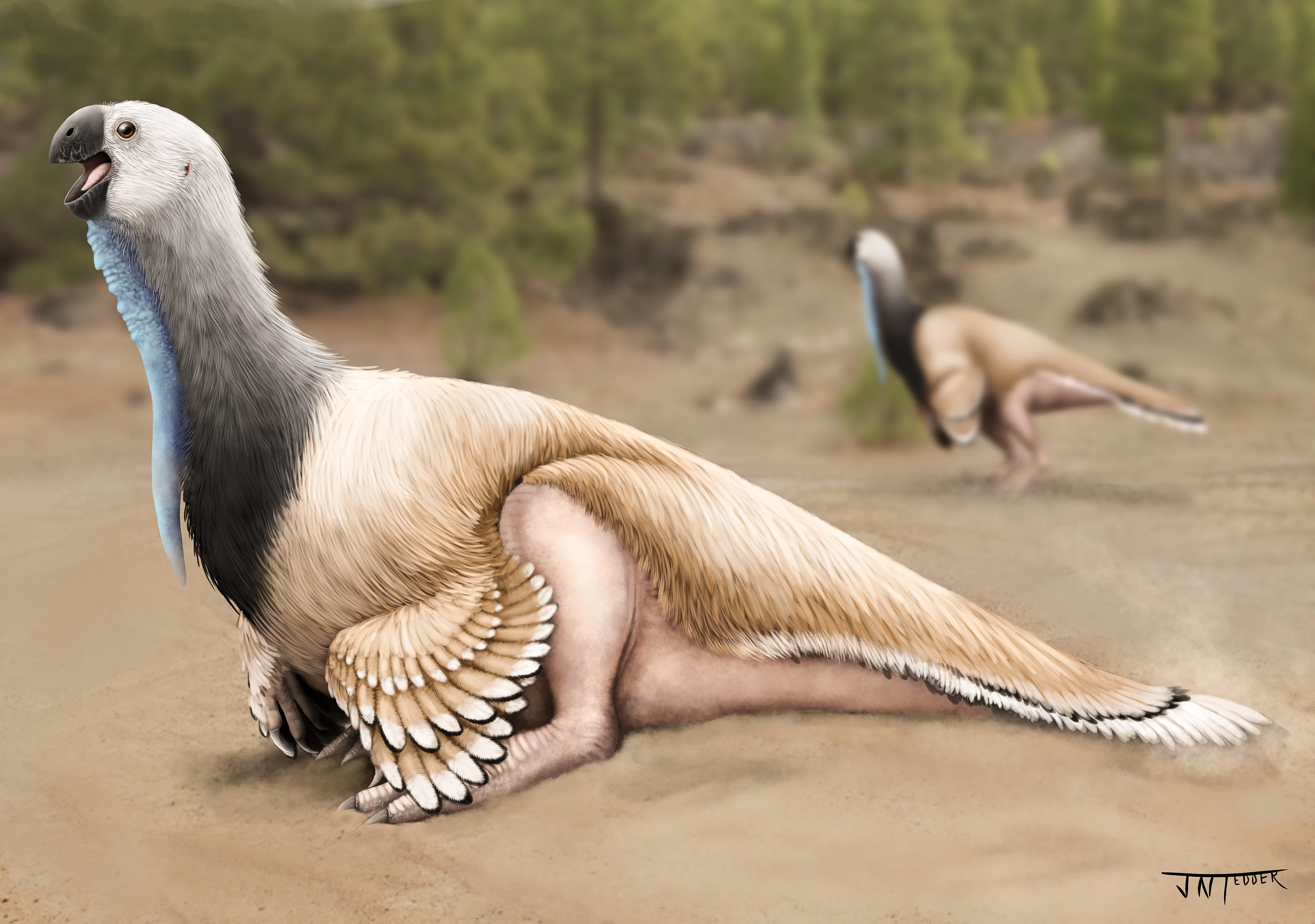 Gigantoraptor Erlianensis Size