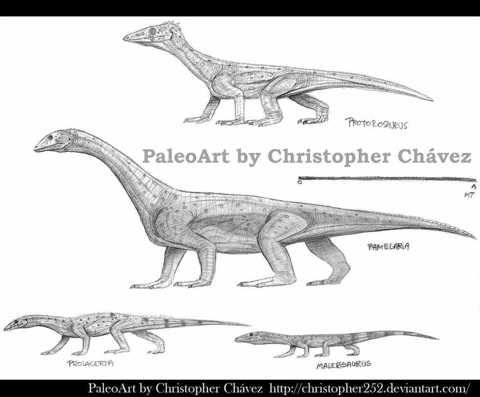 Protorosauria | Dinopedia | Fandom