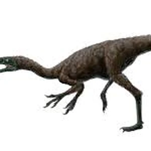 Discuss Everything About Dinopedia | Fandom