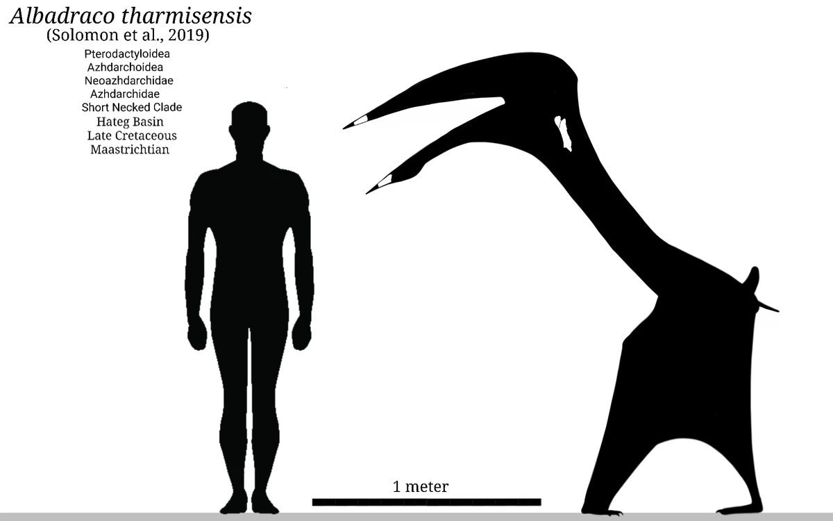 Albadraco | Dinopedia | Fandom