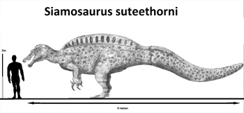 Siamosaurus | Dinopedia | Fandom